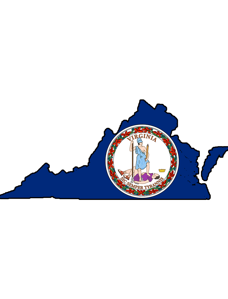 Virginia Government Contracts | SLED Sales